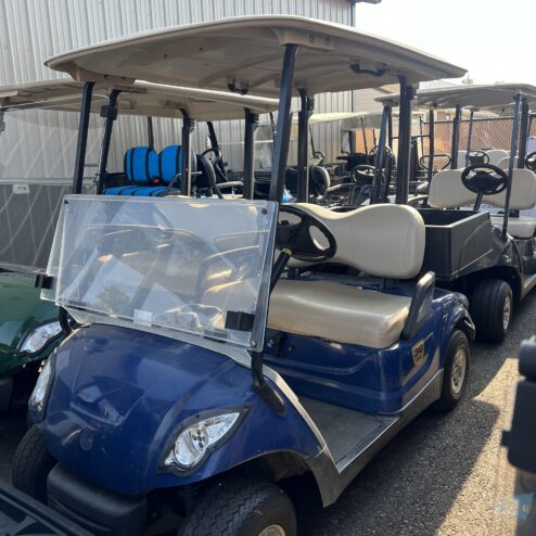 Gas Golf Carts - Mike's Golf Carts | NJ Custom Golf Carts