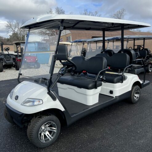 6 Seat - Mike's Golf Carts | NJ Custom Golf Carts