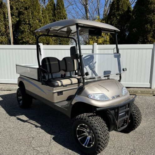 2 Seat - Mike's Golf Carts | NJ Custom Golf Carts